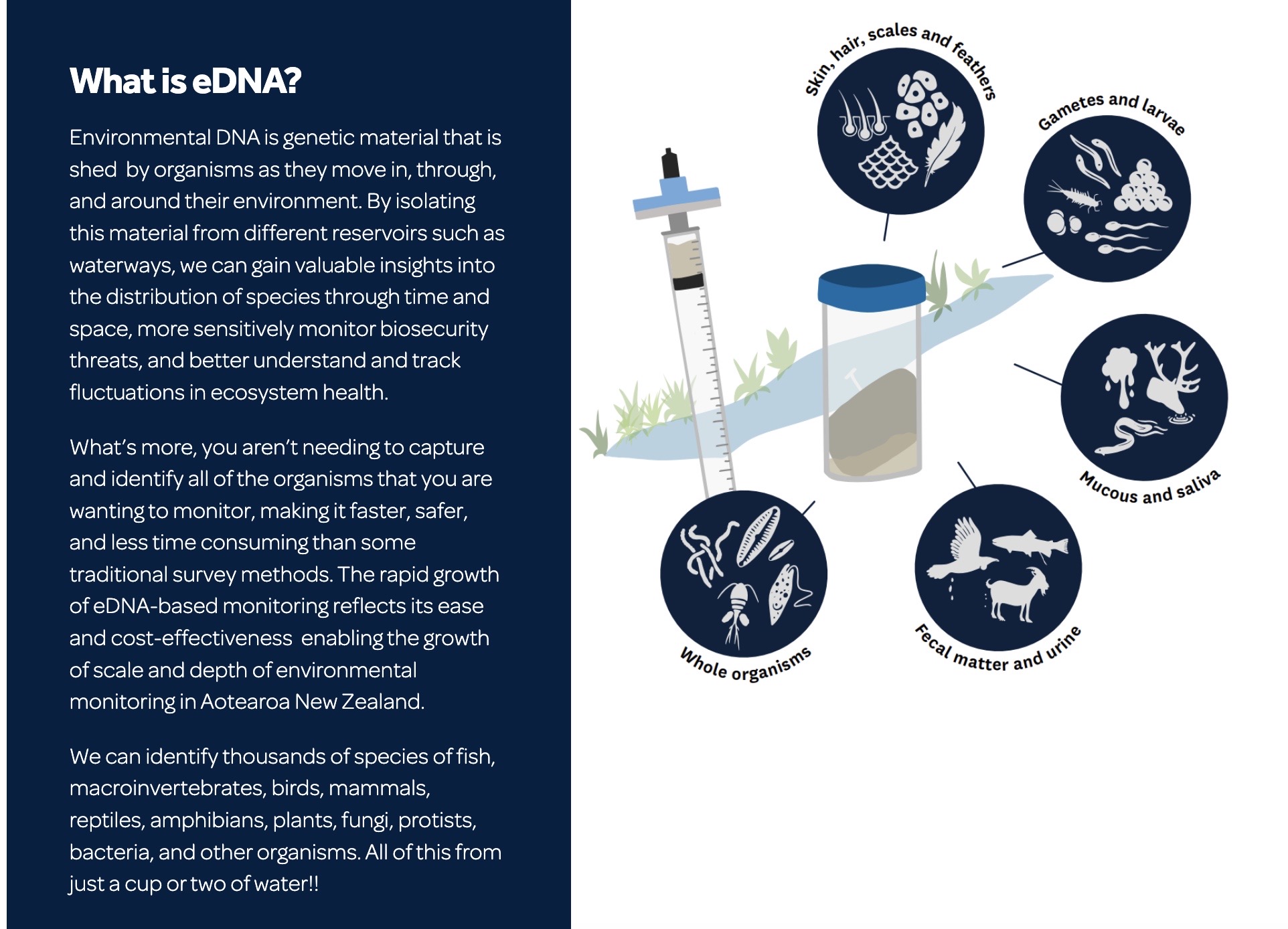 Baseline eDNA Project accepted | The Guardians of the Ruakituri