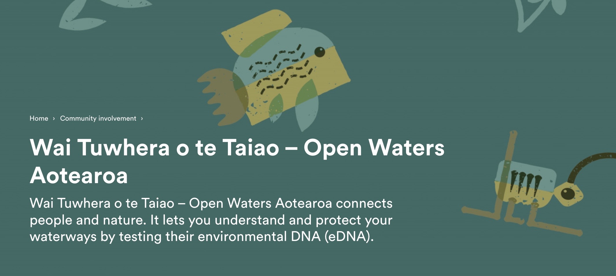 Baseline eDNA Project accepted | The Guardians of the Ruakituri